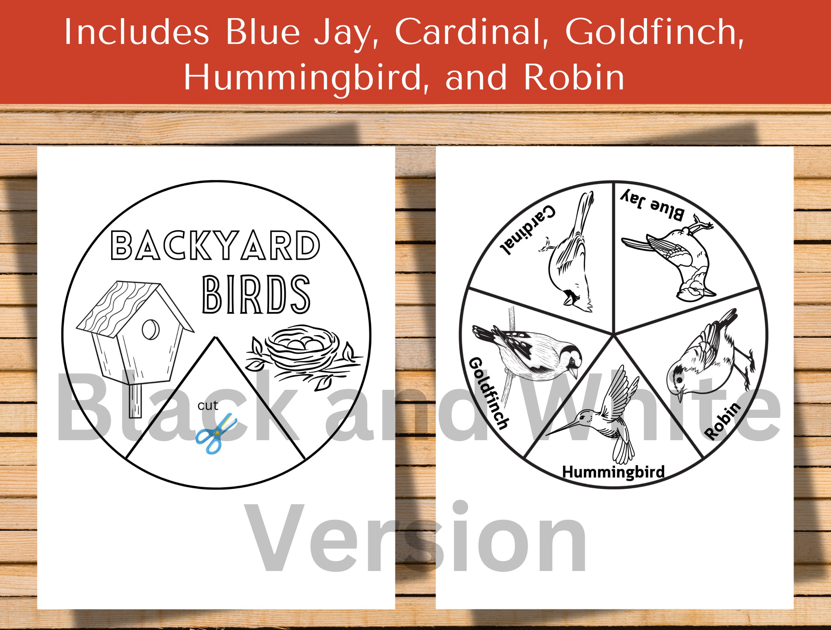 Backyard Bird Coloring Spinner Wheel Craft, Backyard Bird Craft, Birds ...