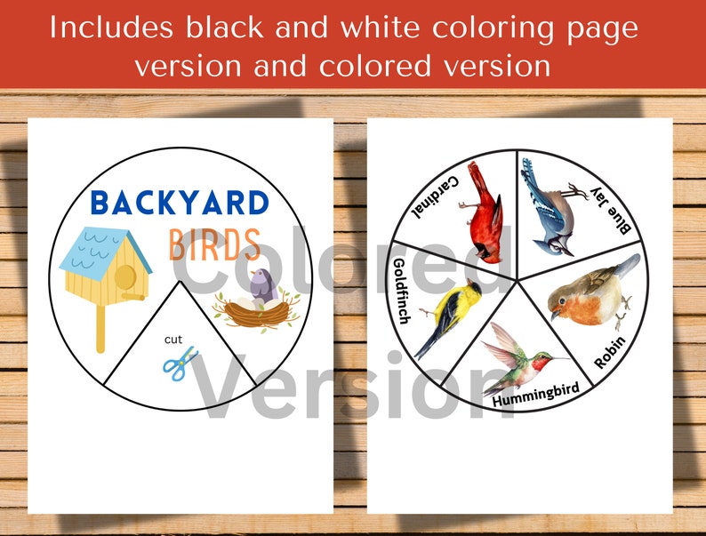 Backyard Bird Coloring Spinner Wheel Craft, Backyard Bird Craft, Birds ...