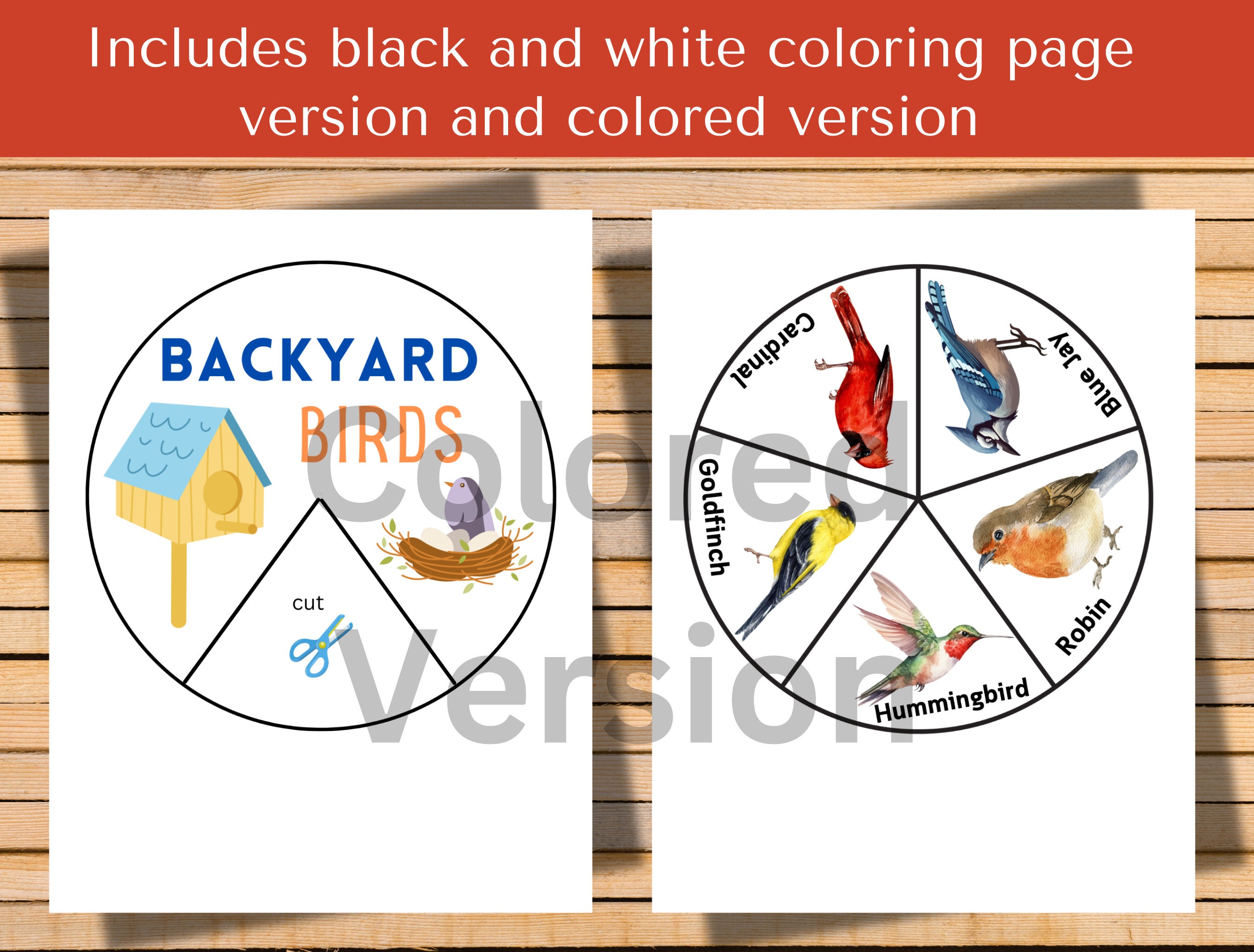 Backyard Bird Coloring Spinner Wheel Craft, Backyard Bird Craft, Birds ...