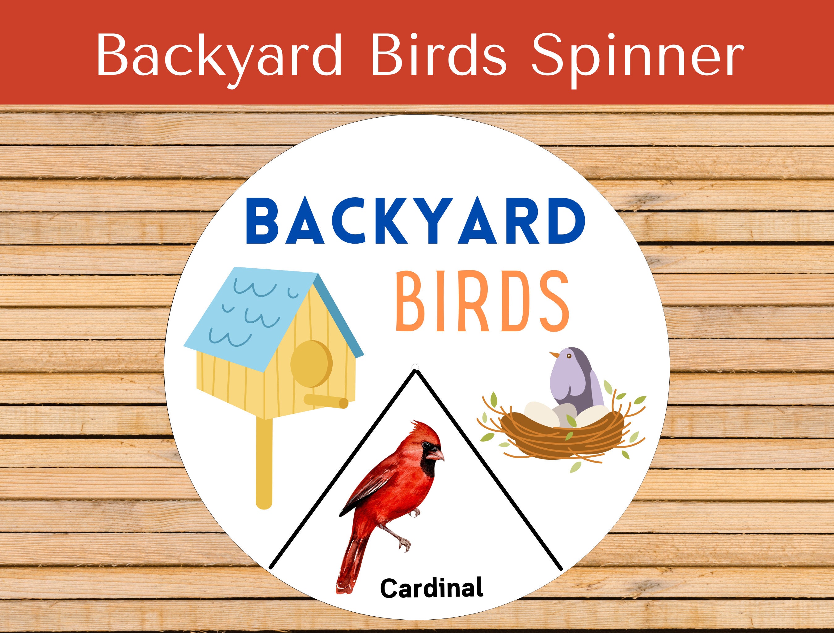 Backyard Bird Coloring Spinner Wheel Craft, Backyard Bird Craft, Birds ...