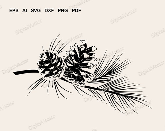 Fir Tree Branch Silhouette