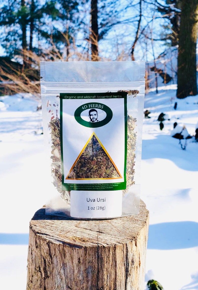 Organic Uva Ursi Loose Leaf Tea Wholesale Arctostaphylos - Etsy