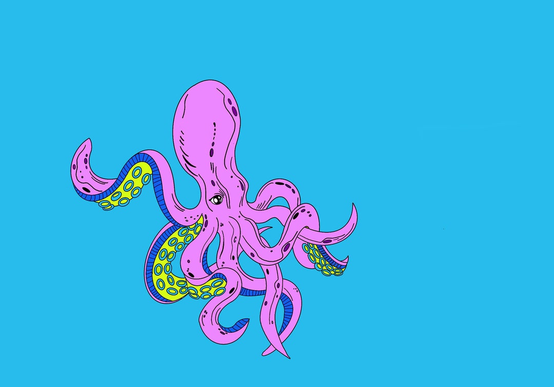 My Friend the Octopus - Etsy