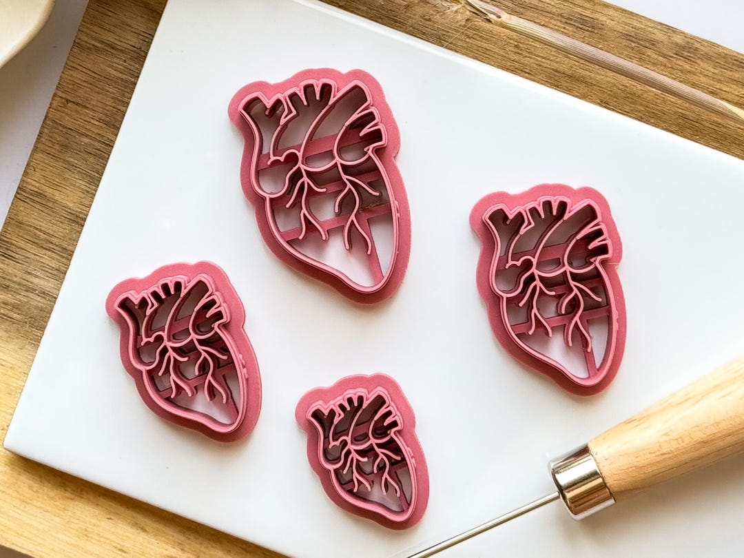 Anatomical Heart Clay Cutter, Human Heart Polymer Clay Cutter for Clay Artists, 5 Sizes to ...