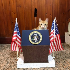 Presidential Podium Cat Scratcher | Cute Cat Scratcher With Grooming ...