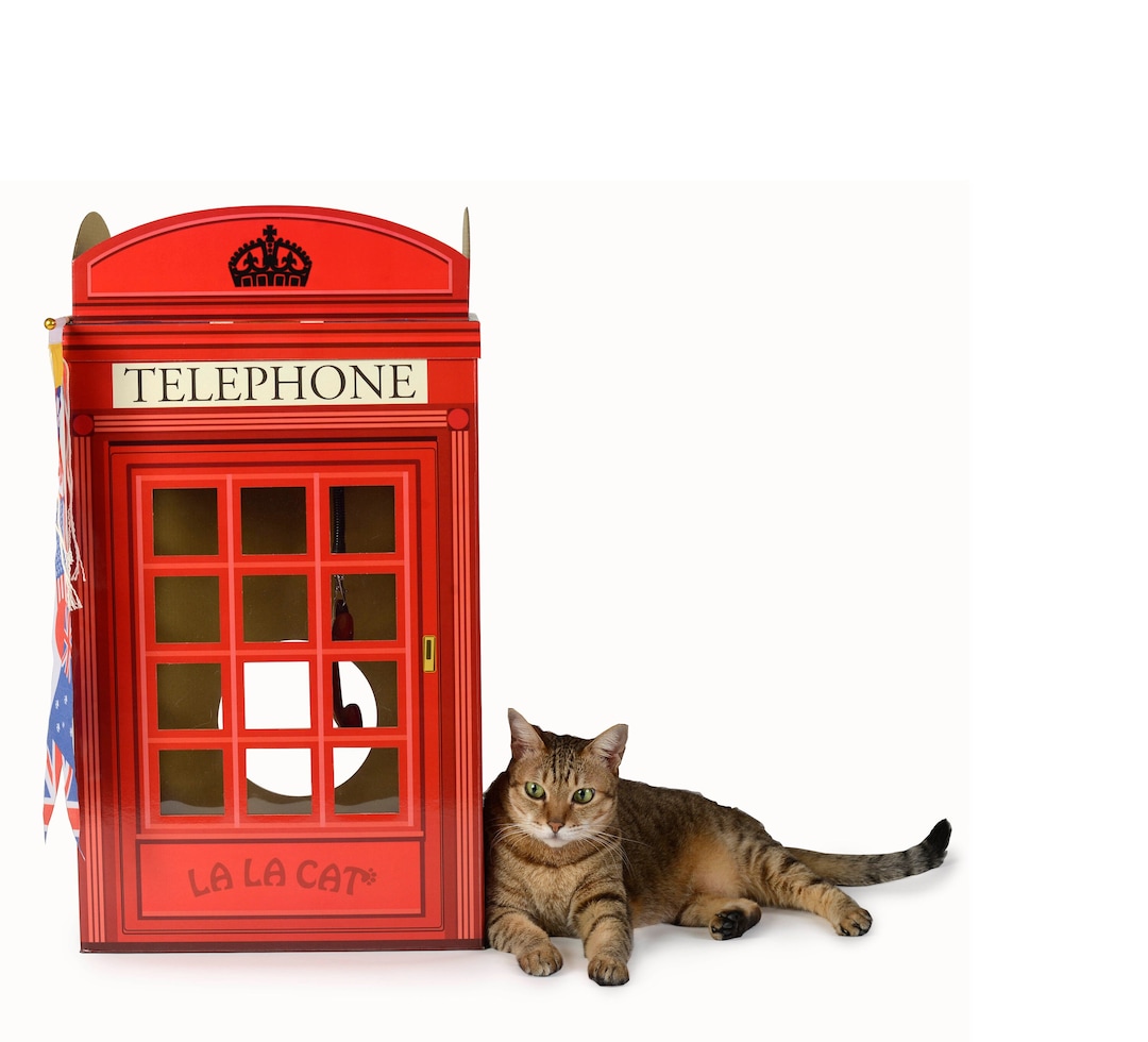 Phone Booth Cat Scratcher | Cute Cat Scratcher With Sturdy Cardboard ...