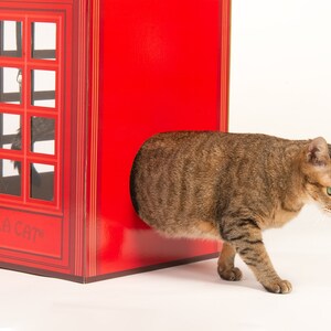 Phone Booth Cat Scratcher | Cute Cat Scratcher With Sturdy Cardboard ...