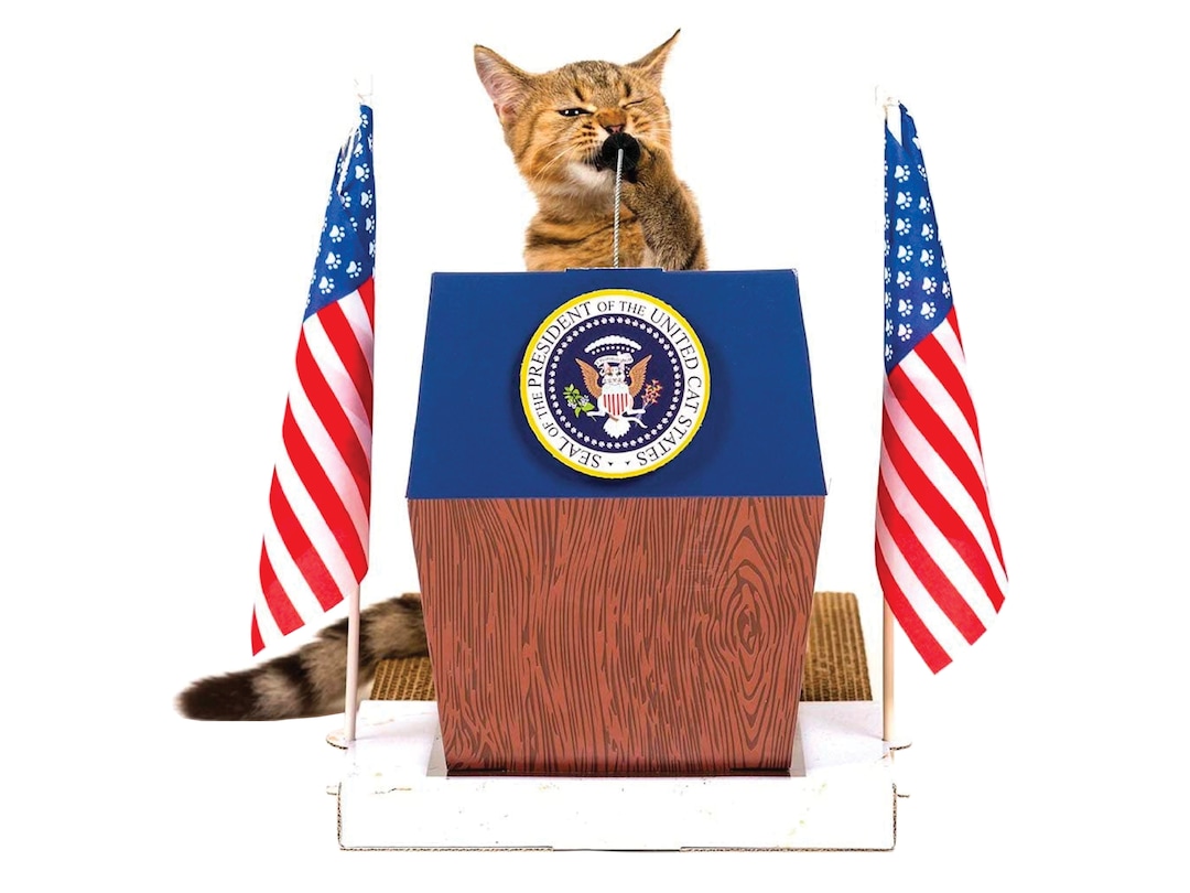 Presidential Podium Cat Scratcher | Cute Cat Scratcher With Grooming ...