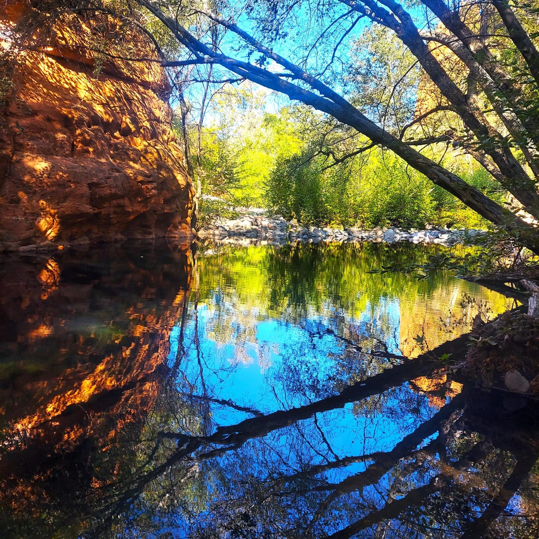 Digital Download: Nature, Water, Creek, Leaves, Trees, Red Rocks ...
