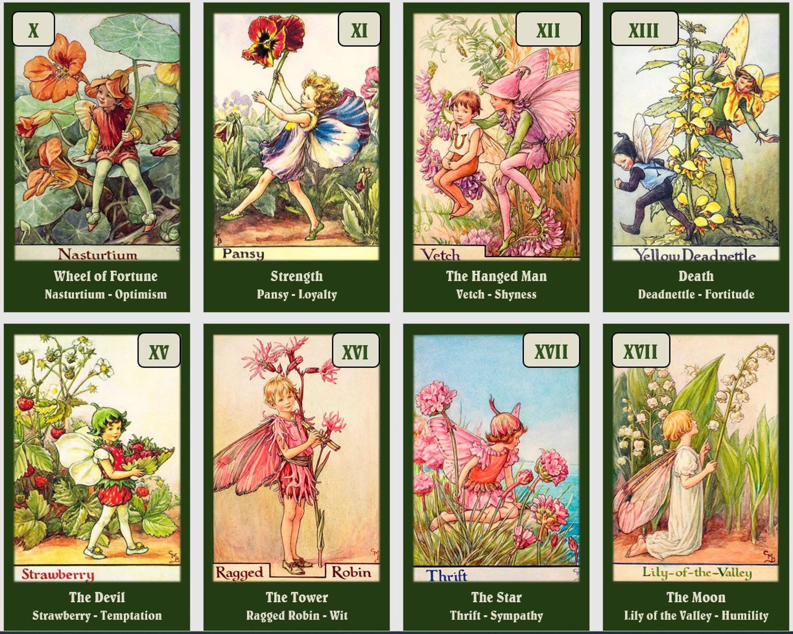 Flower Fairies Tarot Deck. Vintage Illustration Tarot | Etsy