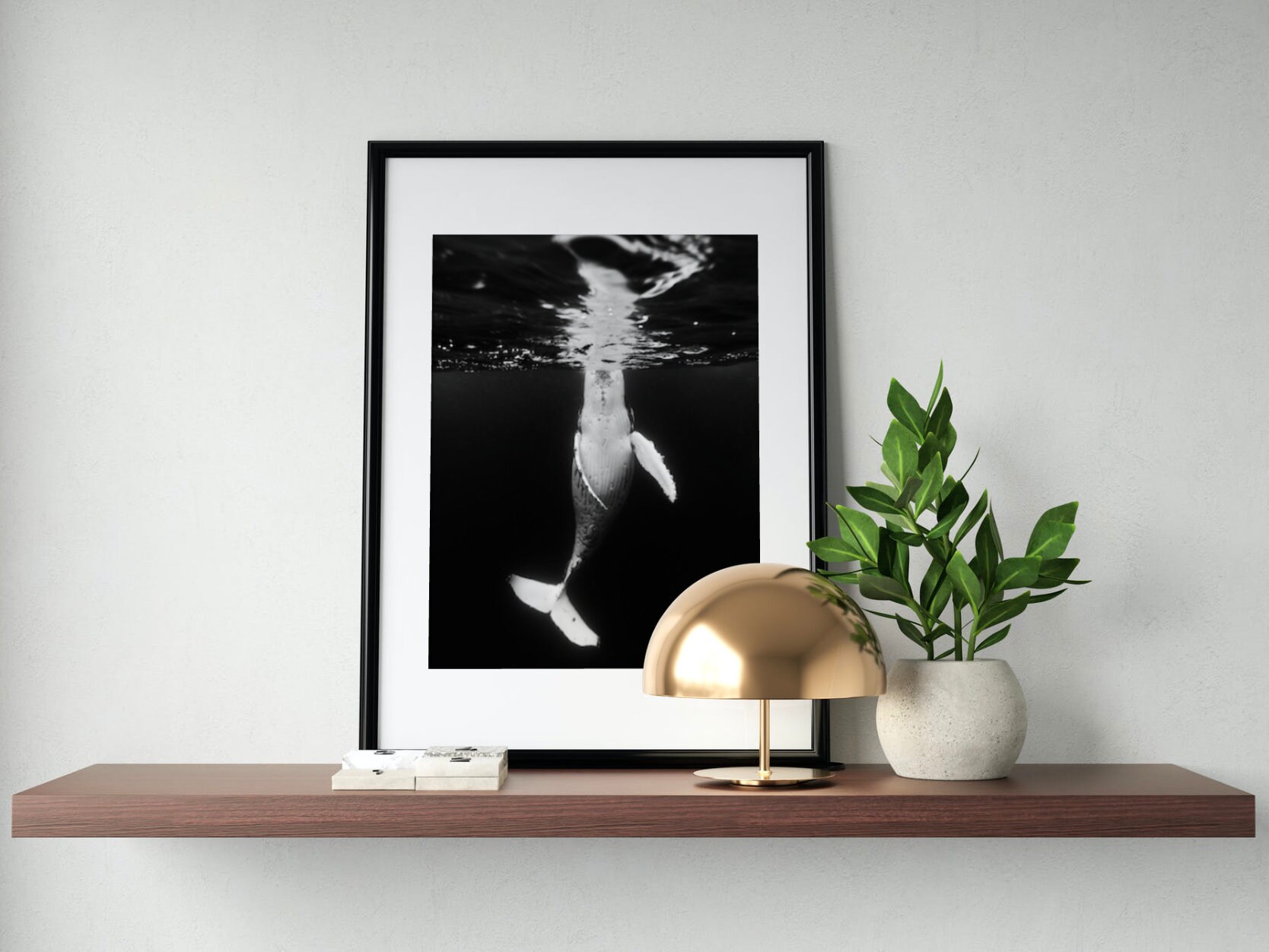 Moby - Humpback Whale and Calf Underwater Ocean Photography Print - Etsy