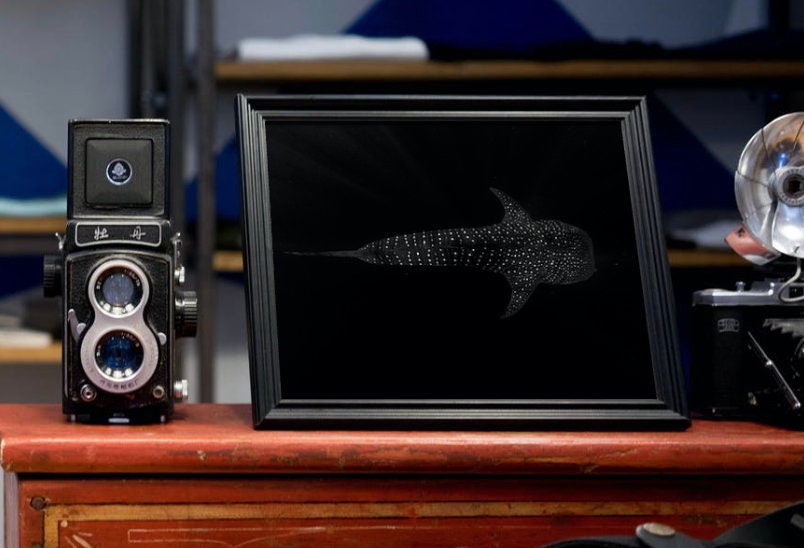 Starry Night - the Whale Shark - Underwater Ocean Photography Print - Etsy