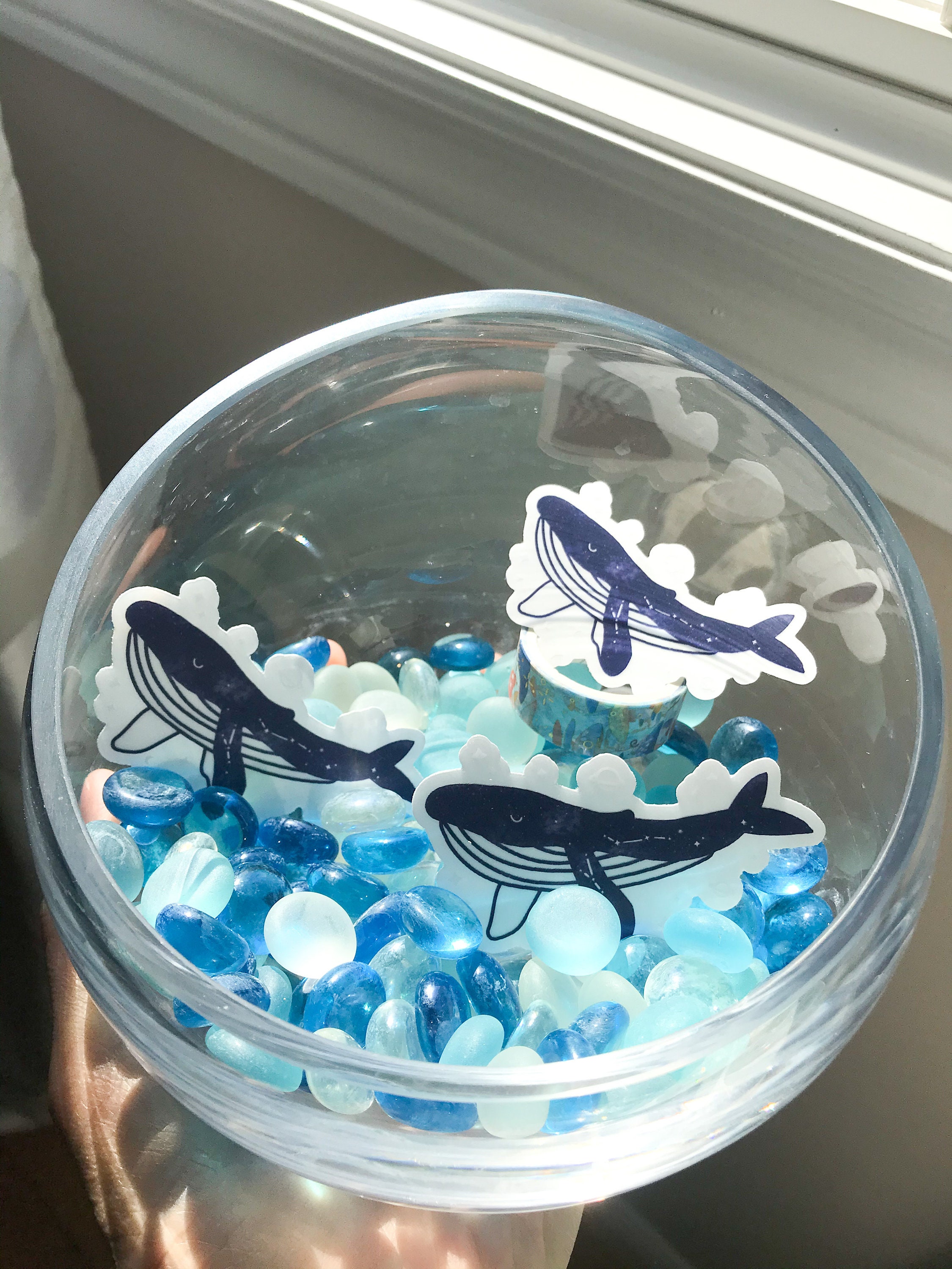 Transparent Space Whale Diecut Vinyl Sticker for Stationary | Etsy