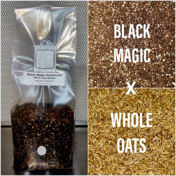 Psychedelic Mushroom Grow Kit - Etsy