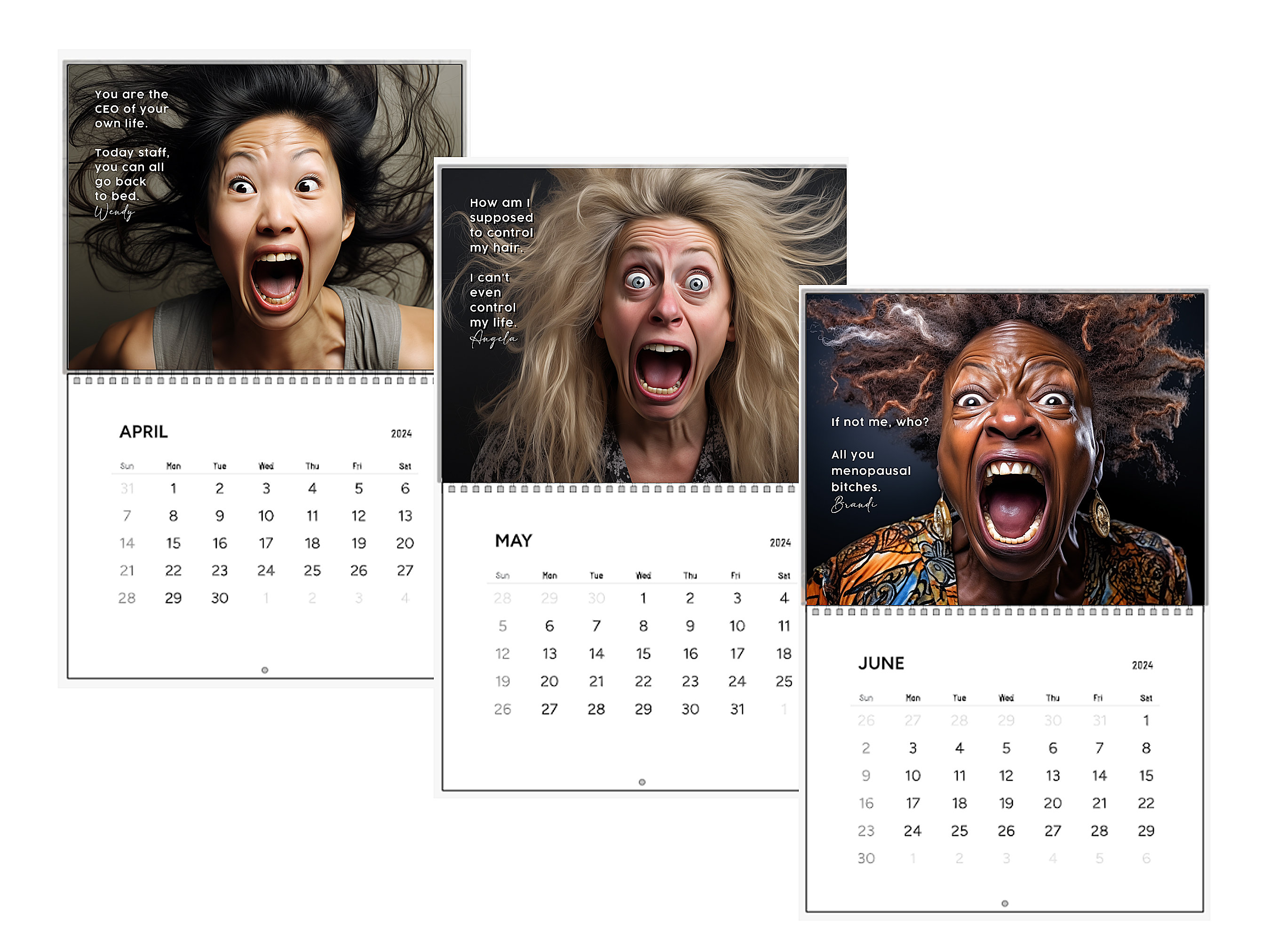 Funny Calendar 2024 Wall, Girl Boss Calendar, Funny Menopause Gifts ...