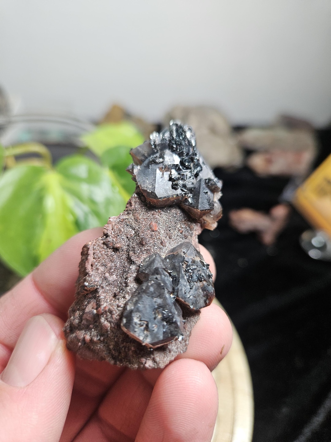 Onegite W/ Geothite Pseudomorph Crystal Cluster on Matrix Colorado ...