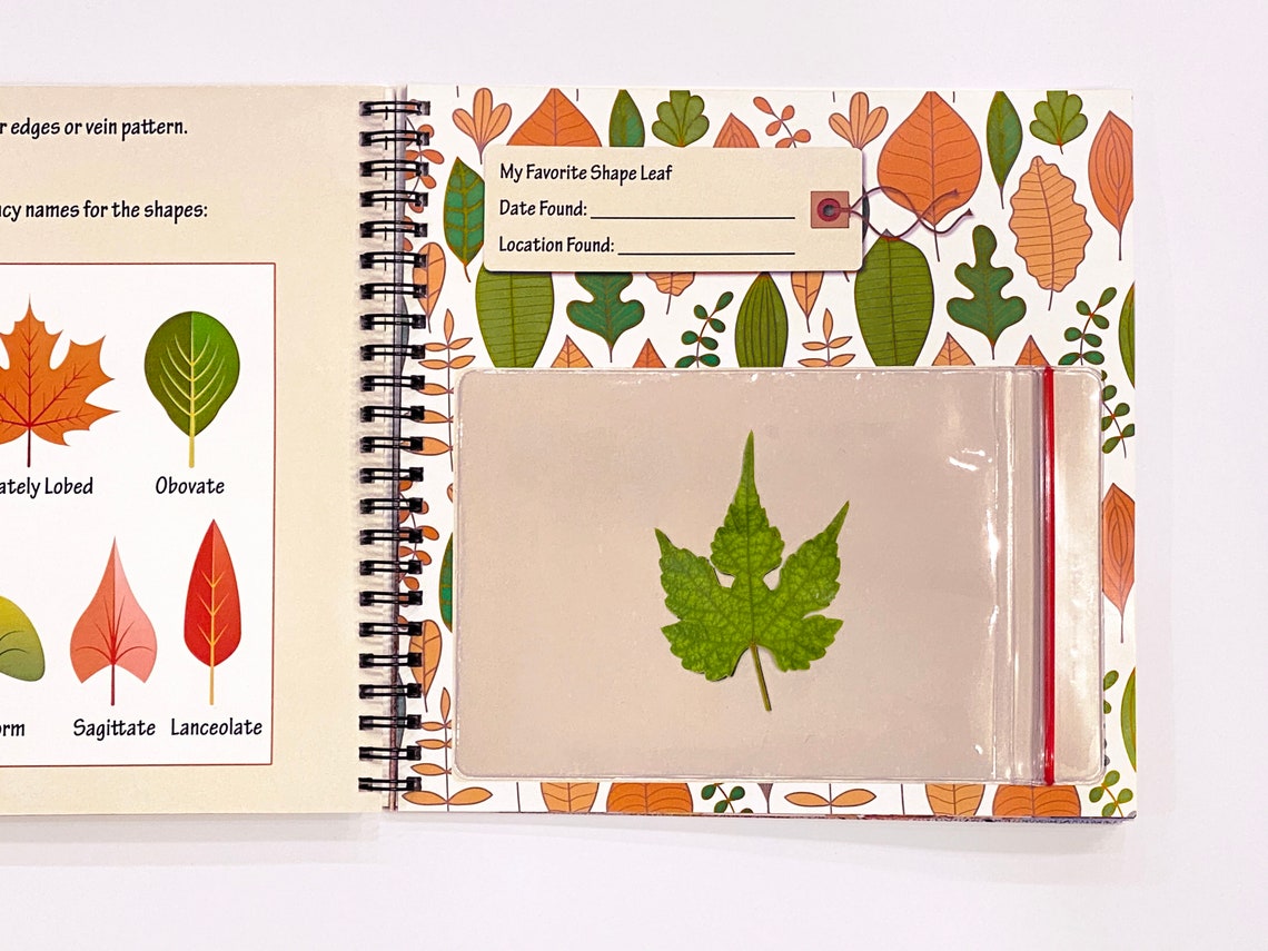 My Leaf Collection Album: A Hardcover Album With Envelope Pockets for ...