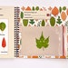 My Leaf Collection Album: A Hardcover Album With Envelope Pockets for ...