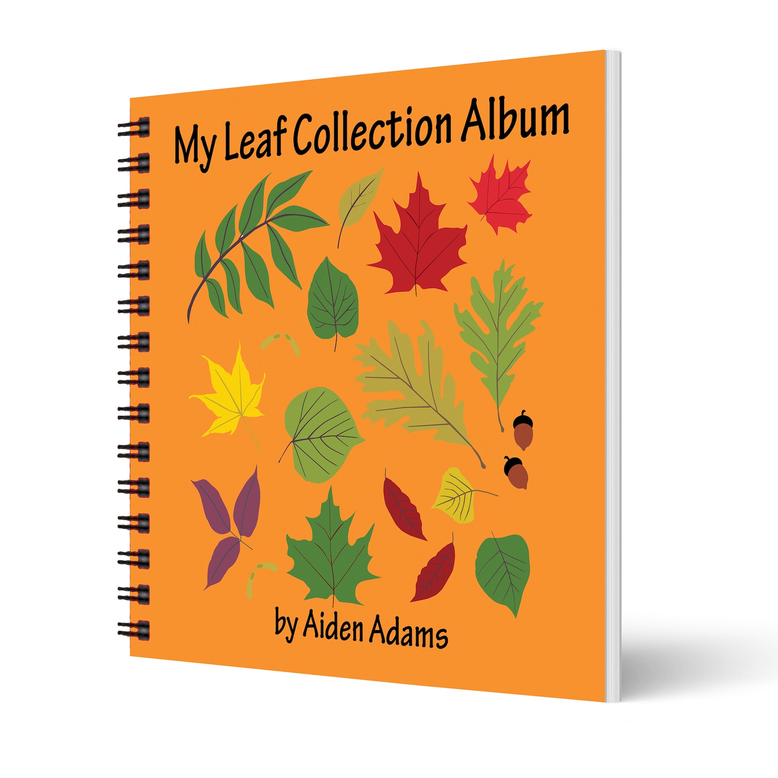 My Leaf Collection Album: A Hardcover Album With Envelope Pockets for ...