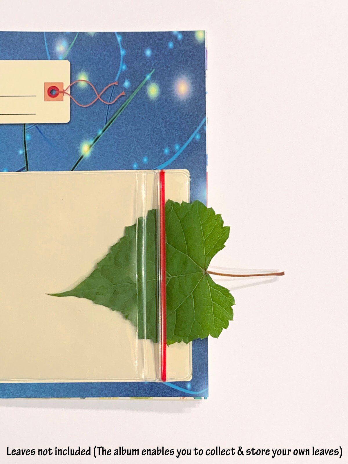 My Leaf Collection Album: A Hardcover Album With Envelope Pockets for ...