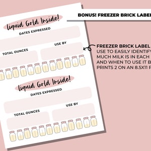 Breast Pumping Tracker With Breastmilk Inventory Log for Instant ...