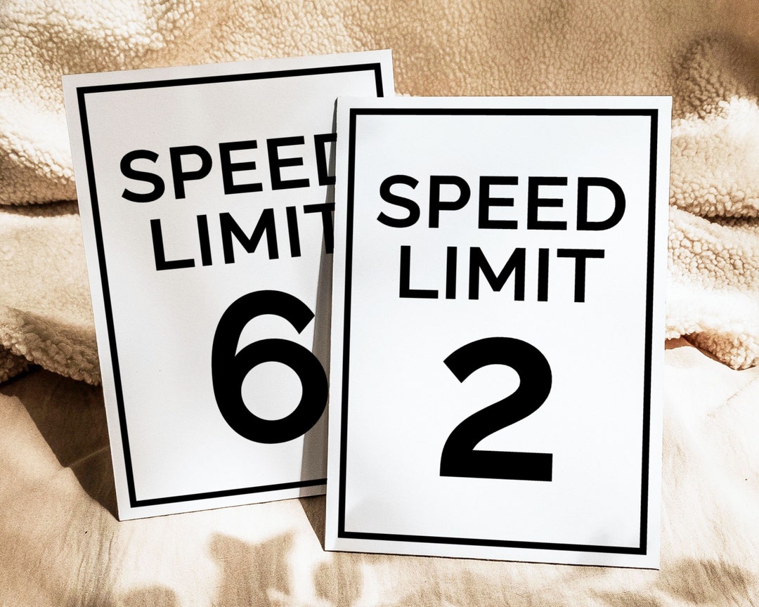 Speed Limit Sign Race Car 1st Birthday Party Decoration Table Sign ...
