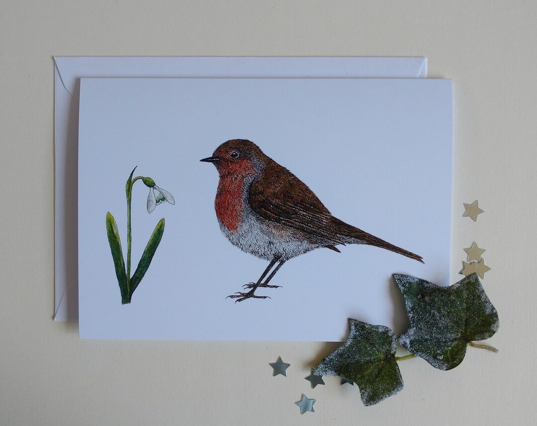Robin And Snowdrop Christmas Card. Print taken from an original ...