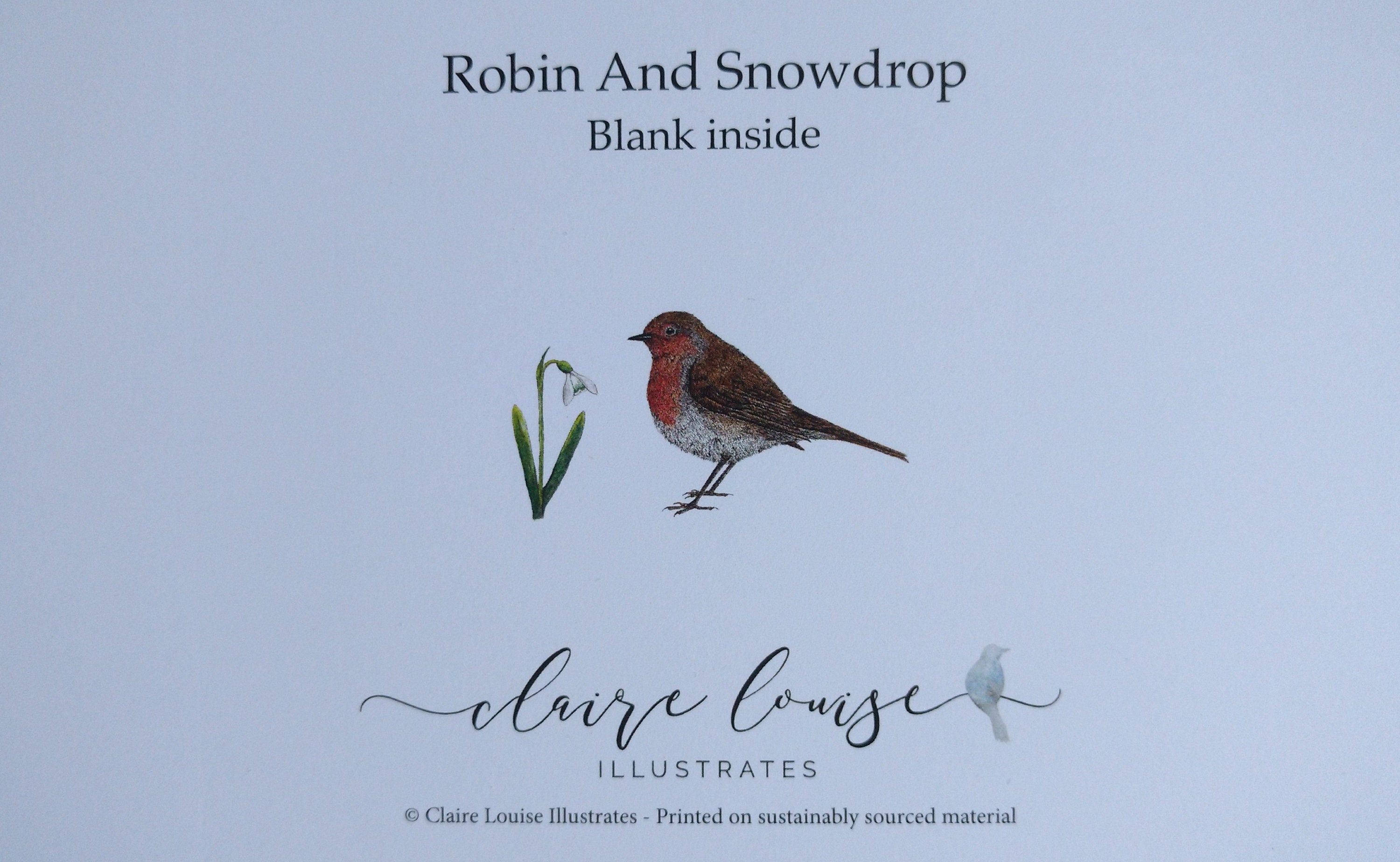 Robin And Snowdrop Christmas Card. Print taken from an original ...