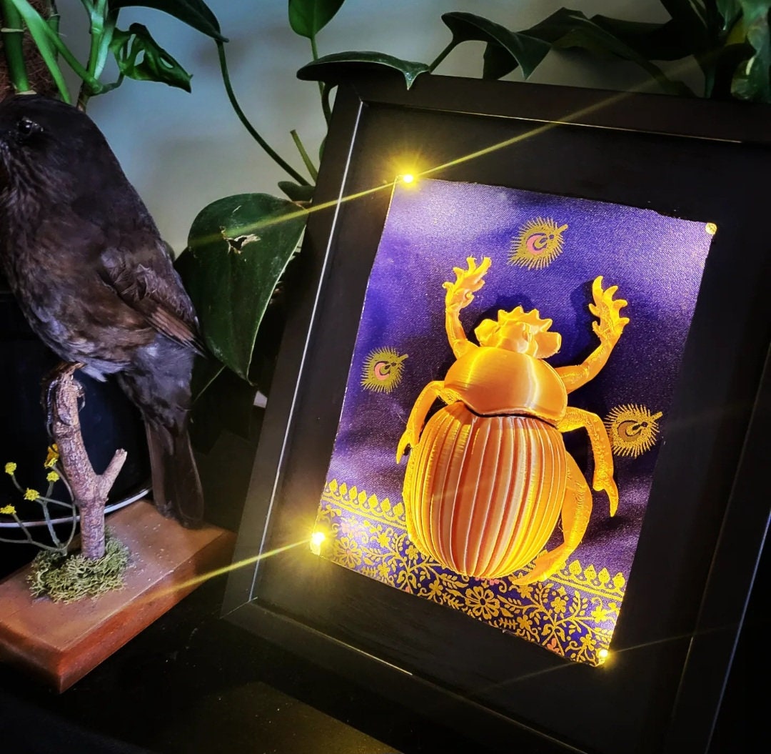 Faux Taxidermy Gold 3D Printed Scarab Beetle Light up Box Frame Purple ...