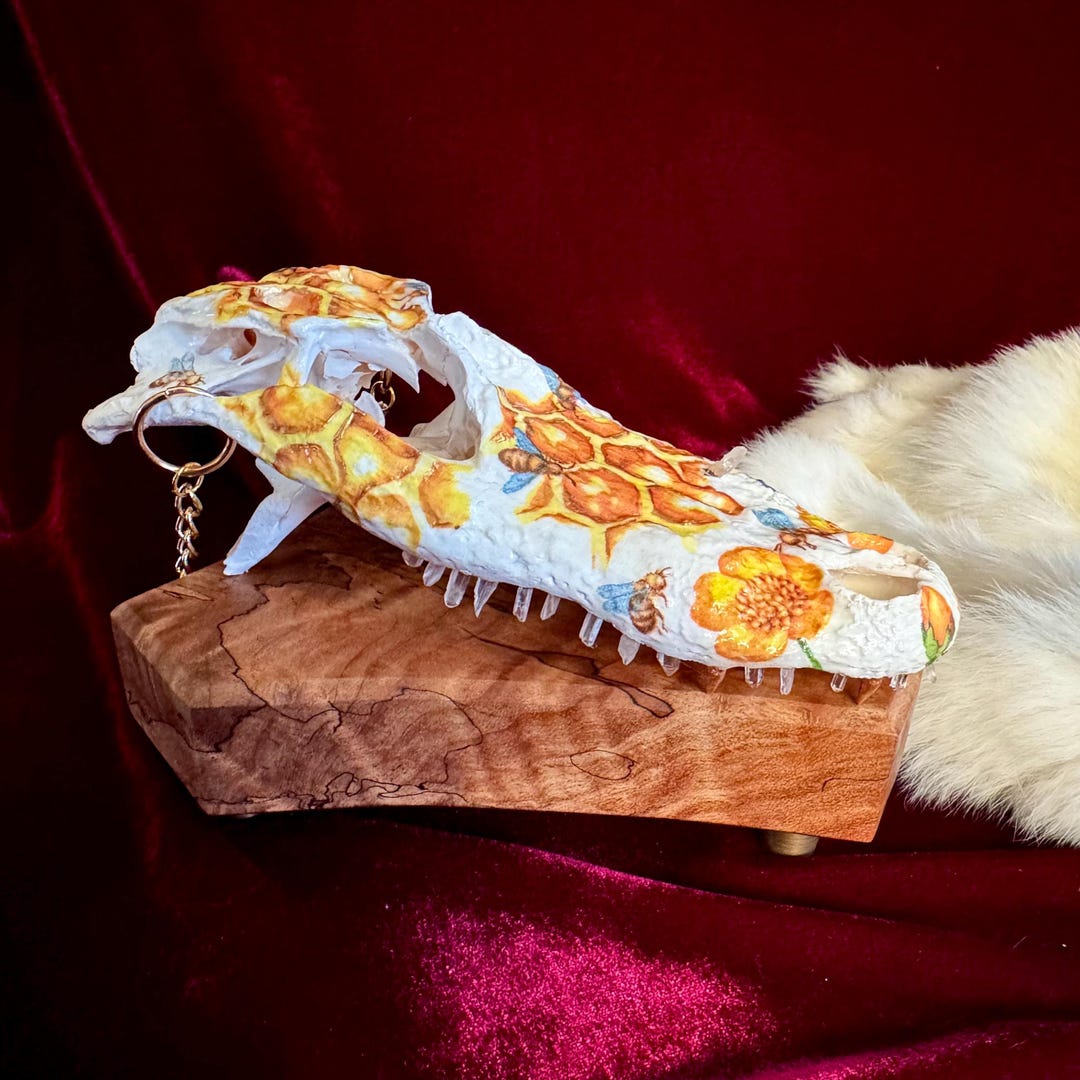 Milk & Honey Painted Alligator - Etsy