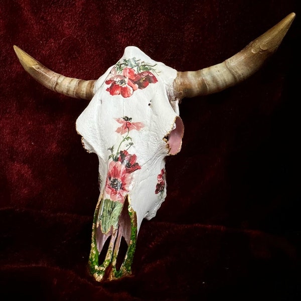 Decorated Cow Skull - Etsy