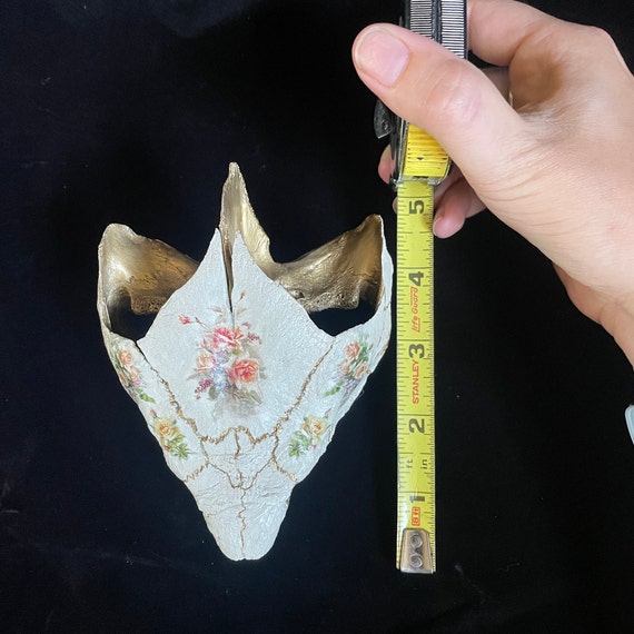 Snapping Turtle Footprint