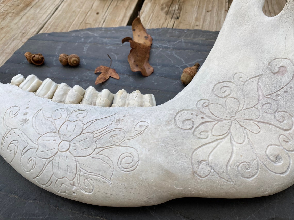 Carved Cow Jaw Bone (floral) - Etsy