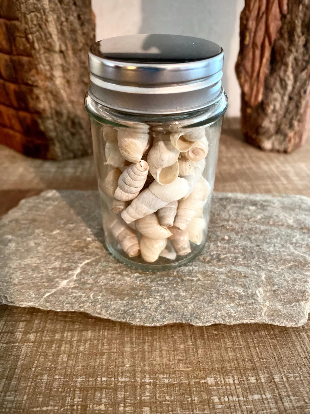 Jar of Snails - Etsy