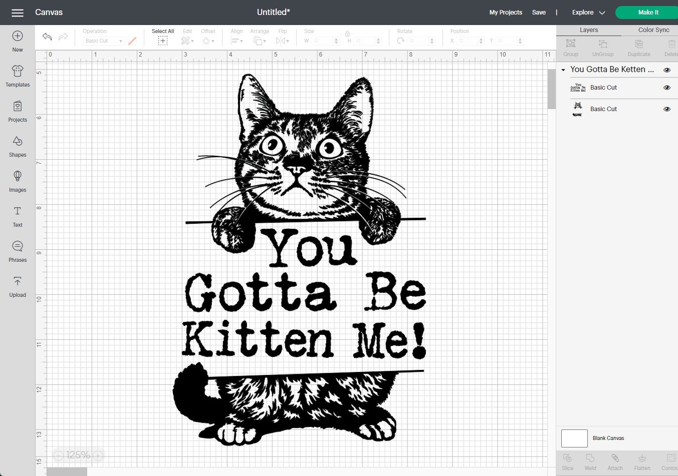 You Gotta Be Kitten Me Svg Png, Cat Svg, Funny Cat Svg, Cat Quotes Svg ...
