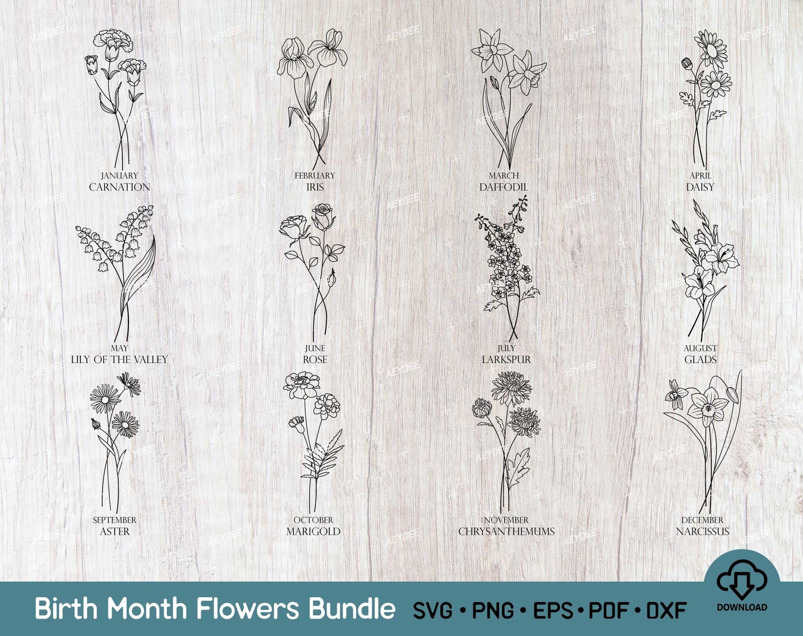 Birth Month Flowers SVG PNG Floral Svg Bundle Hand Drawn - Etsy UK