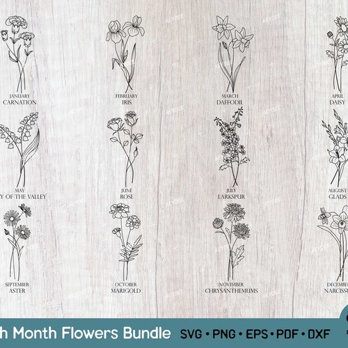 Birth Month Flowers SVG PNG Floral Svg Bundle Hand Drawn - Etsy