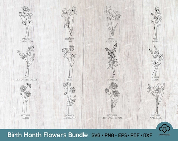 Birth Month Flowers SVG PNG Floral Svg Bundle Hand Drawn - Etsy Australia