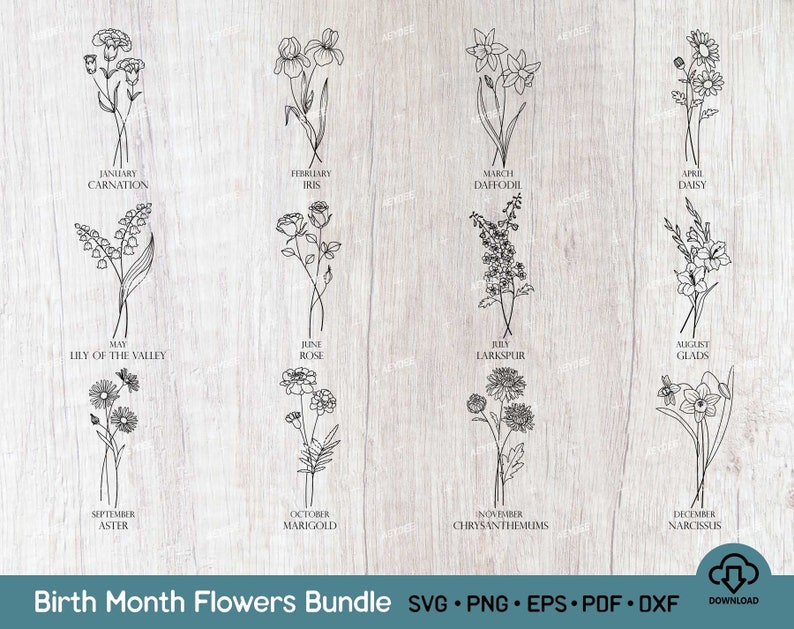 Birth Month Flowers SVG PNG Floral Svg Bundle Hand Drawn - Etsy