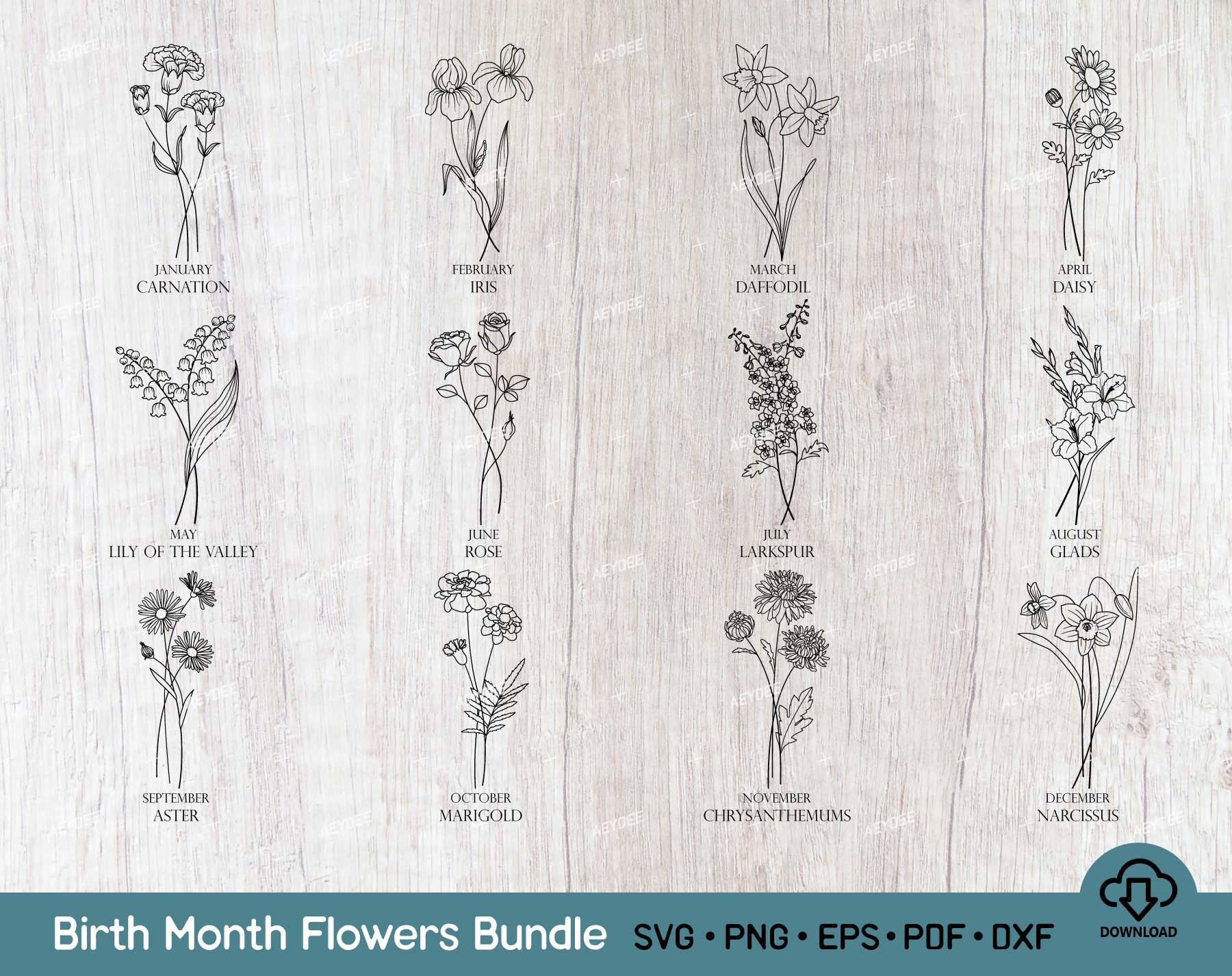 Birth Month Flowers SVG PNG Floral Svg Bundle Hand Drawn - Etsy
