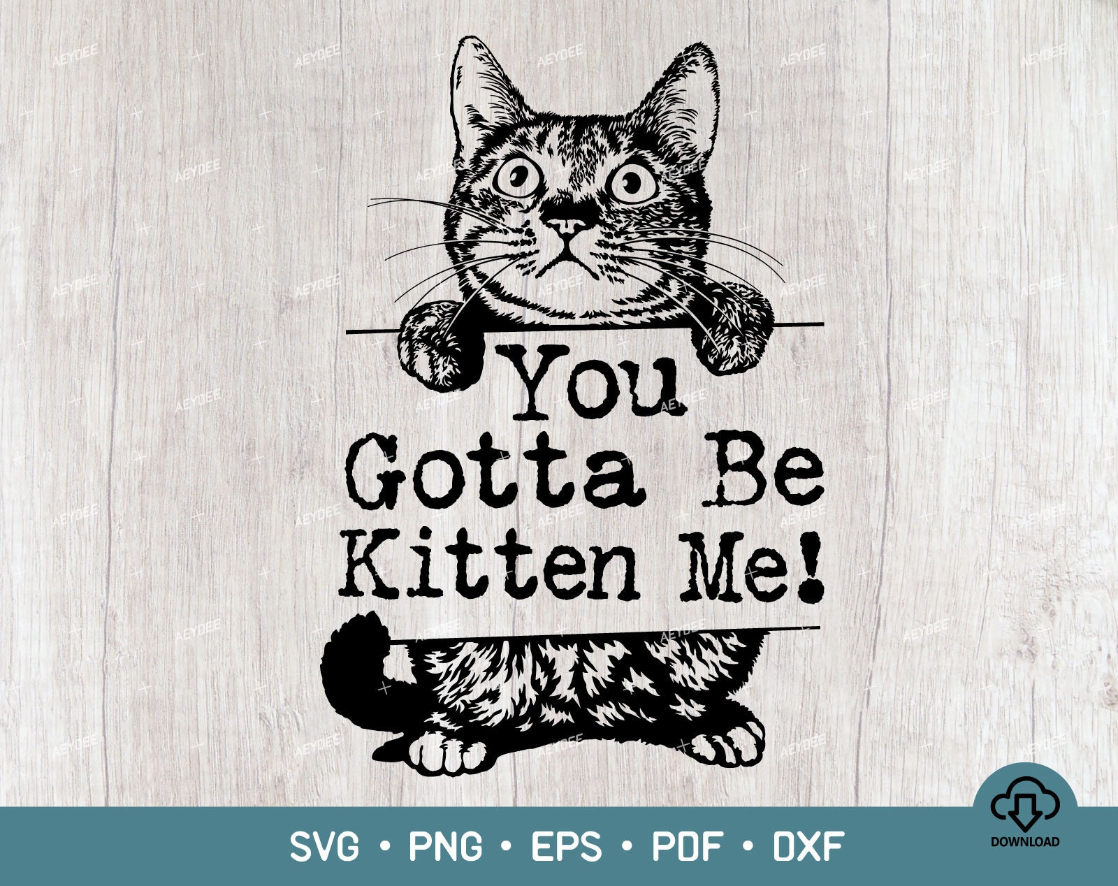 You Gotta Be Kitten Me Svg Png, Cat Svg, Funny Cat Svg, Cat Quotes Svg ...