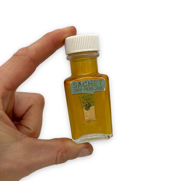 Blue Carnation - Etsy