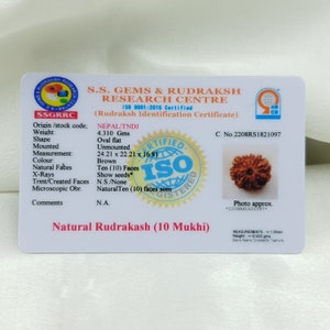 10 Faced Rudraksha, 10 Mukhi Nepali Rudraksha With Lab Certificate - Etsy