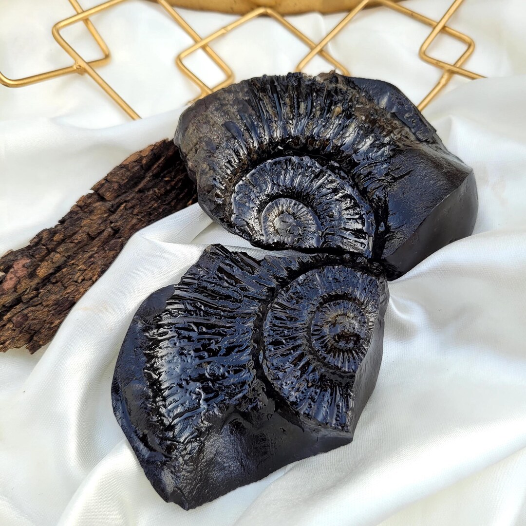 Natural Shaligram, Original Laxmi-narayan Shila From Gandaki River - Etsy