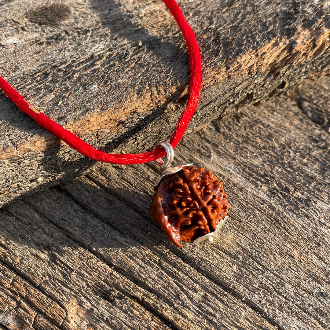 5 Mukhi Rudraksha Nepali Panchmukhi Rudraksha in Red Thread With Pure ...