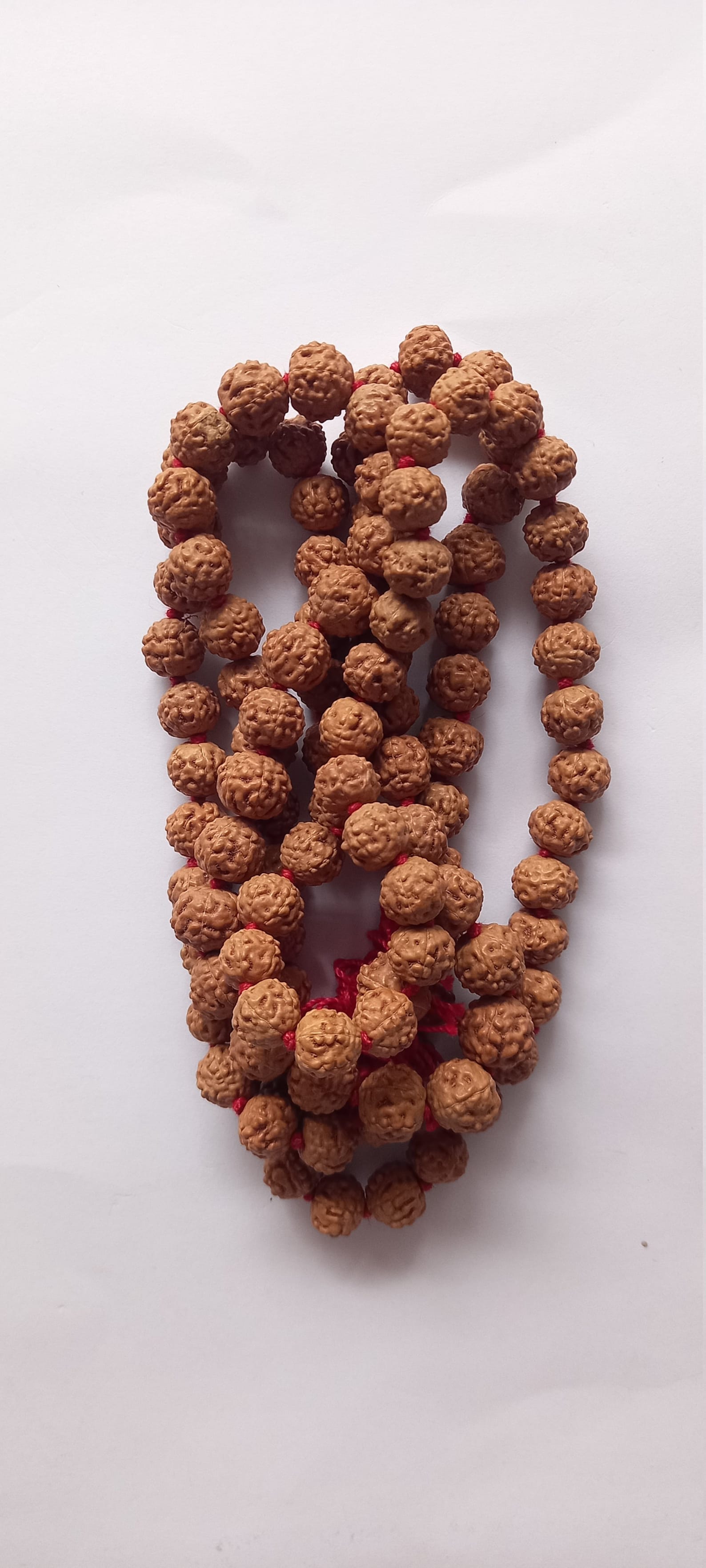 Rudraksha Beads Mala 6 Face 6 Mukhi Rudraksha Etsy rudraksha-beads-mala-6-face-6-mukhi-rudraksha-etsy