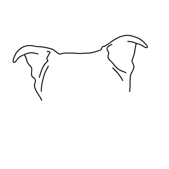 Pet Ears Sketch Line Drawing and Pet Ear Tattoo and Decal - Etsy