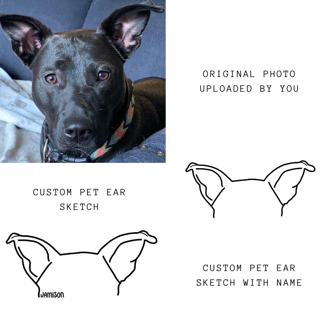 Pet Ears Sketch Line Drawing and Pet Ear Tattoo and Decal Designs, Dog ...