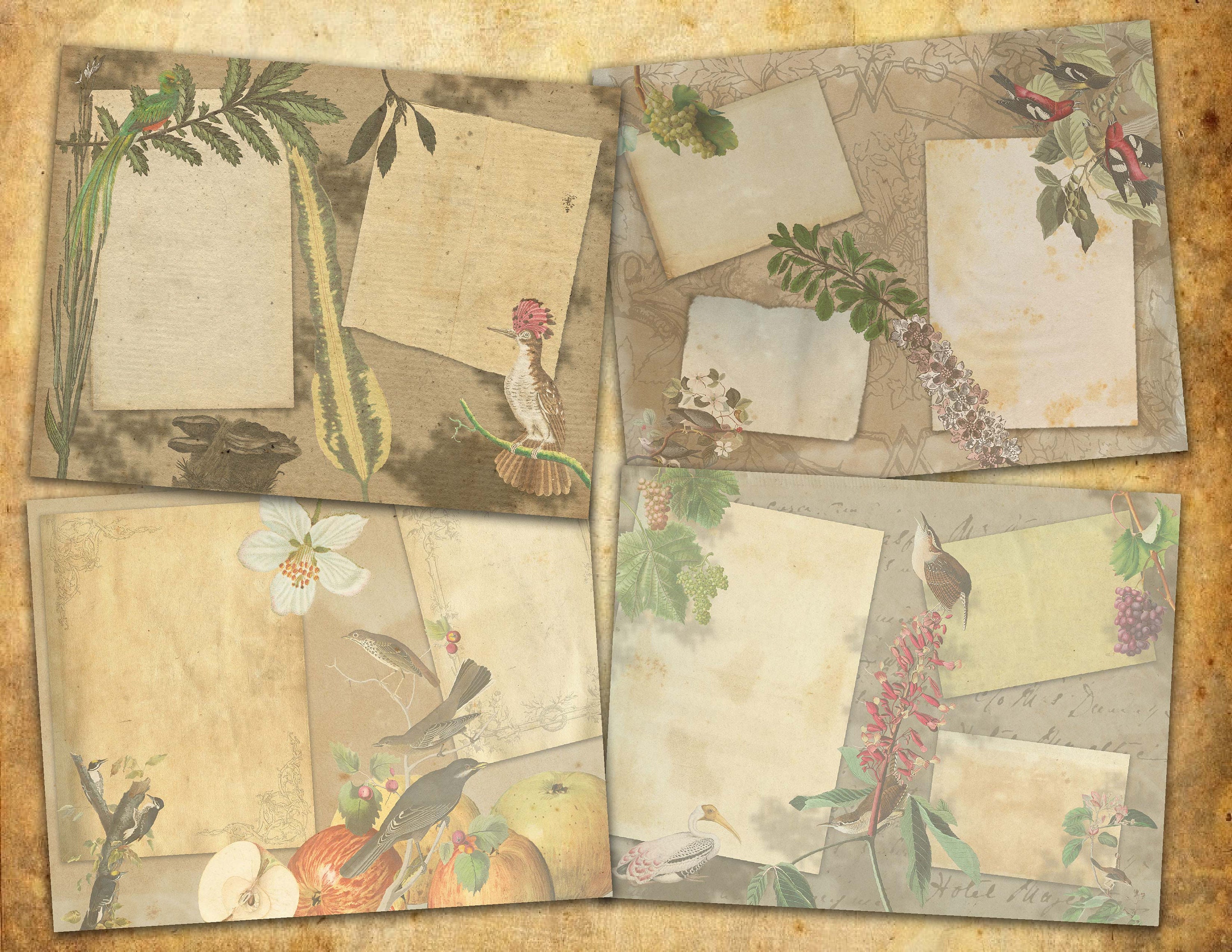 Birds Galore Vintage Junk Journal Pages, Printable Ephemera Digital ...
