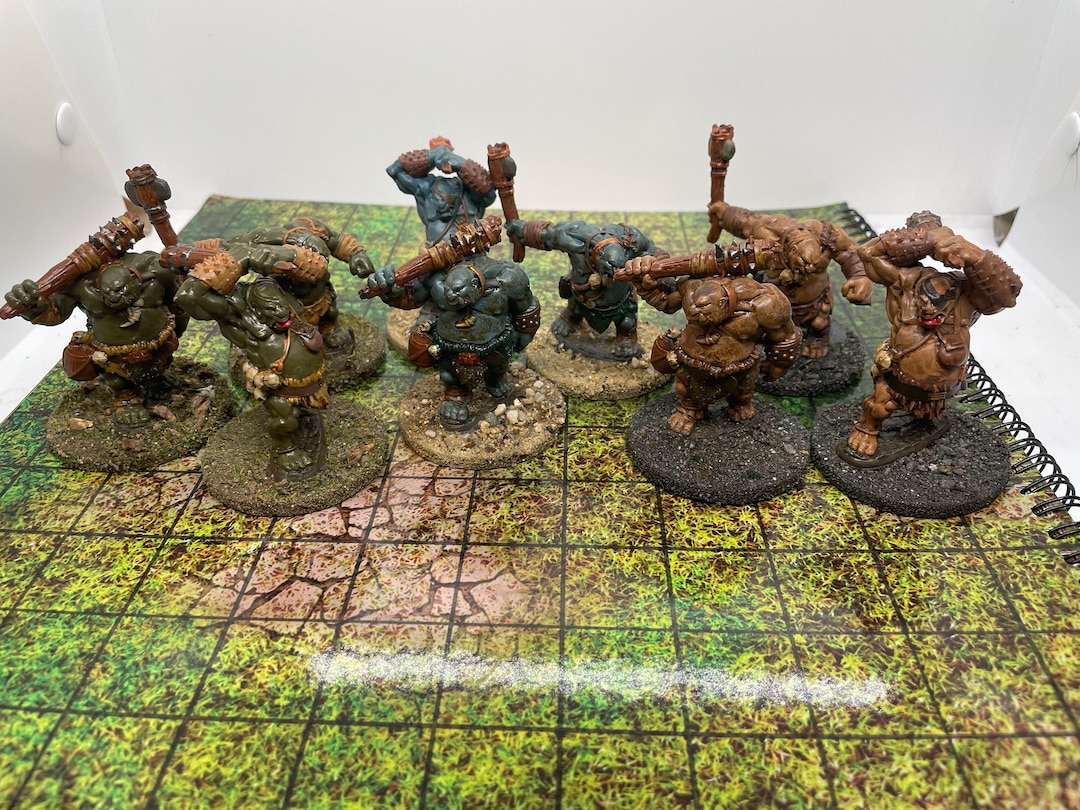 Painted Ogre Miniatures - Tabletop RPG, Dungeons and Dragons, D&D ...